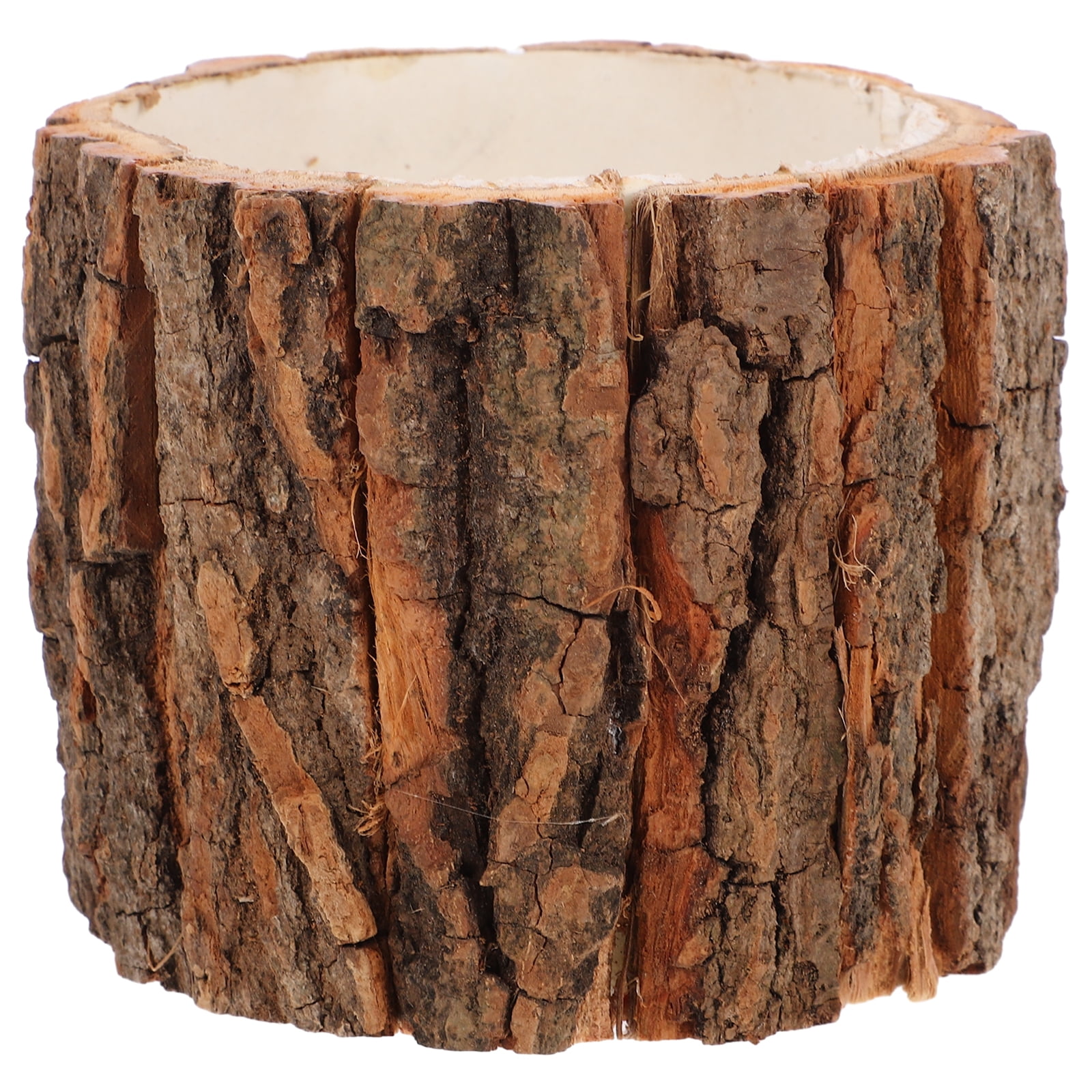 TUIBELYN 2Pcs Wood Tree Pencil Holder Rustic Pen Cup Organizer for ...