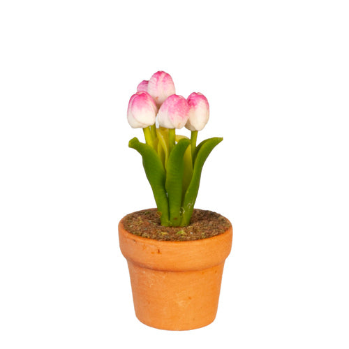 TULIP WHITE/PURPLE Miniature Scale - Walmart.com