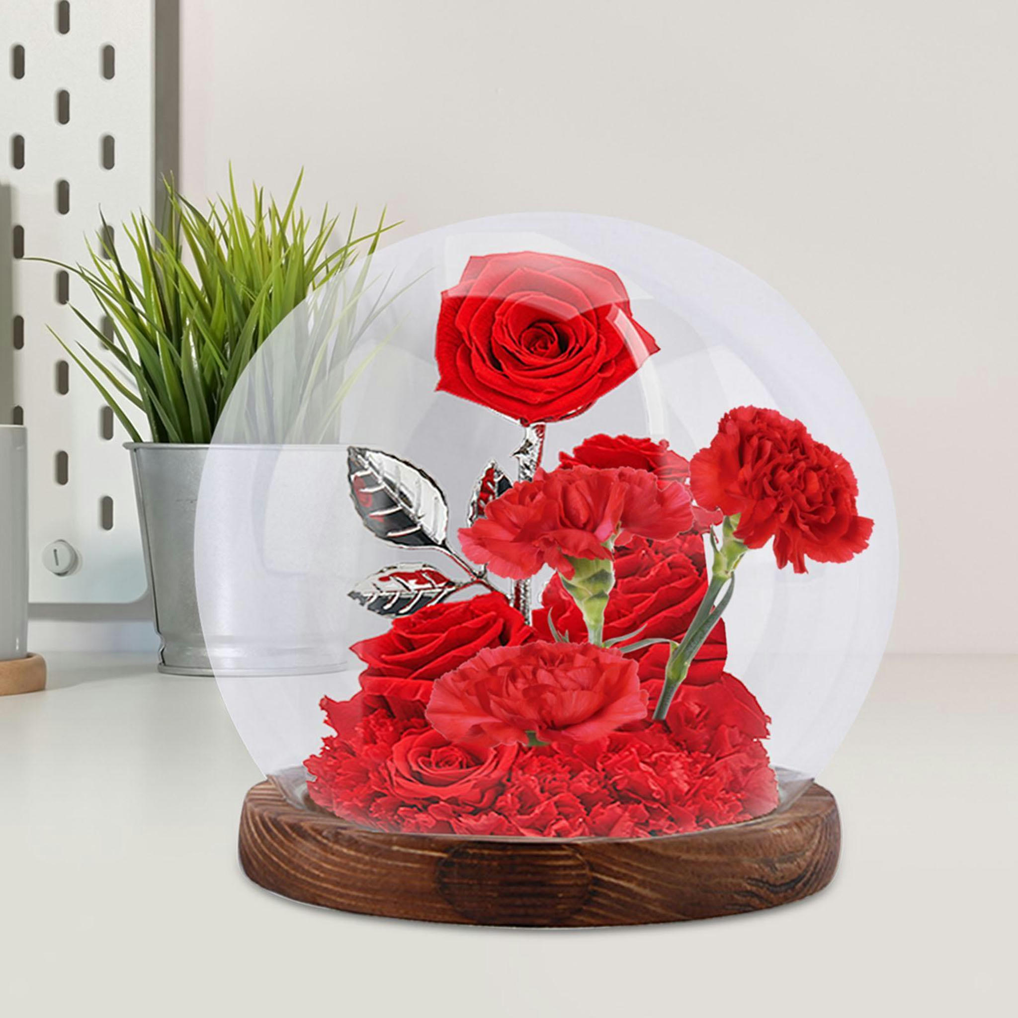 TUMALL Display Case Valentines Day Decor Crafts Round Glass Cover ...