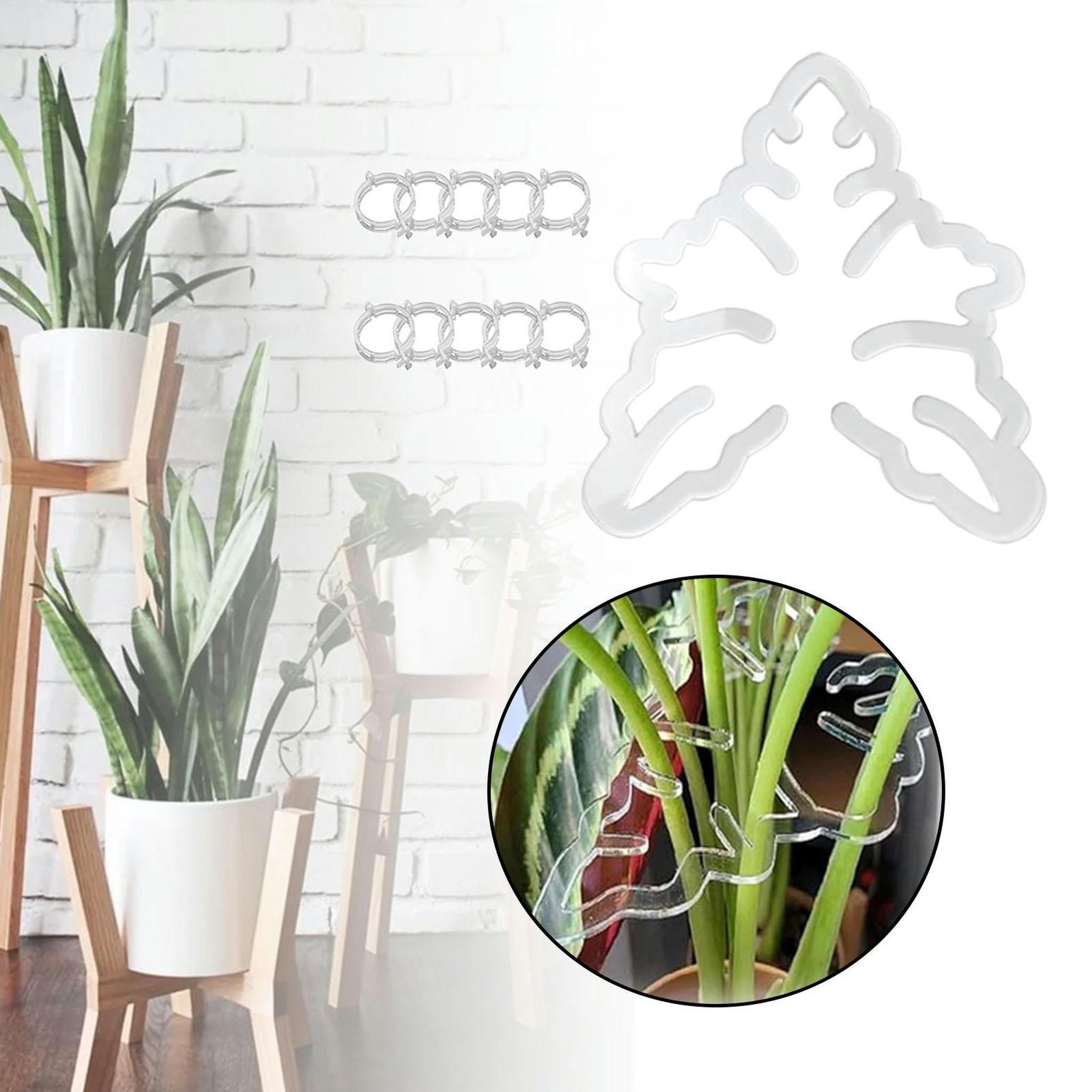 TUMALL Plant Support Clips Flower Plant Clamp for Grape Vine Trellis ...