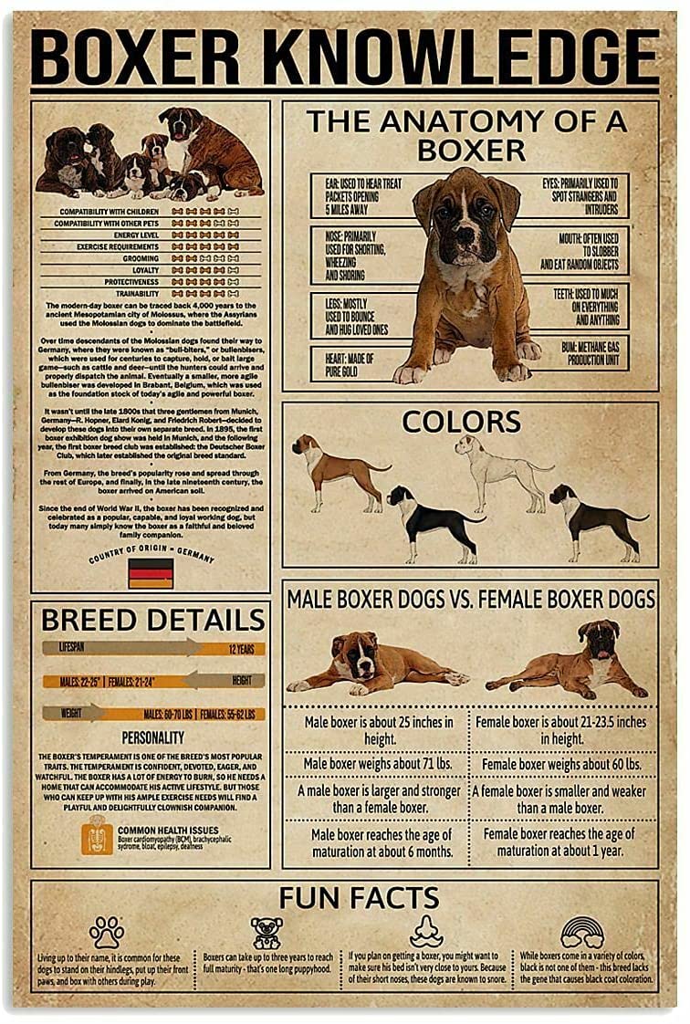 Jigsaw Puzzle Boxer Knowledge Dog Wooden Puzzles ，Puzzle for Adults 300 ...