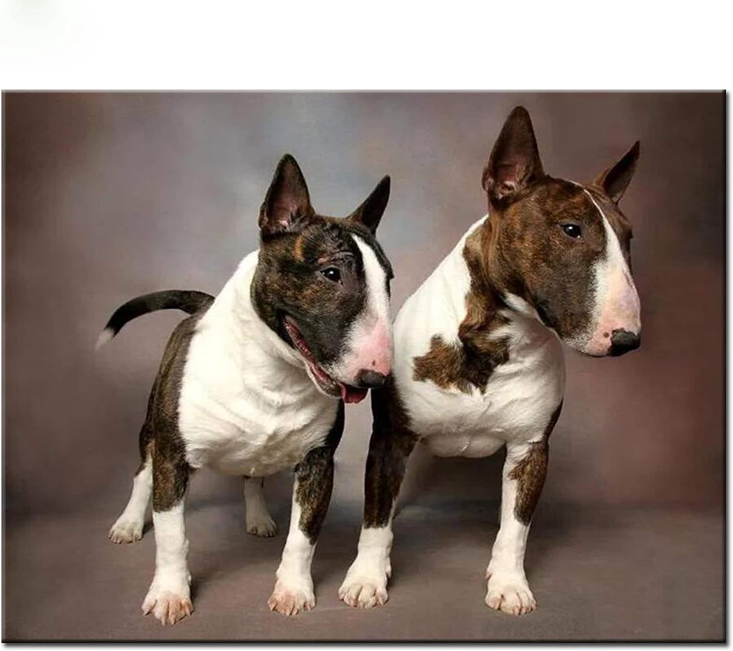 TUNIU Jigsaw Puzzle Bull Terrier Animal Puzzles for Adults，Wooden ...