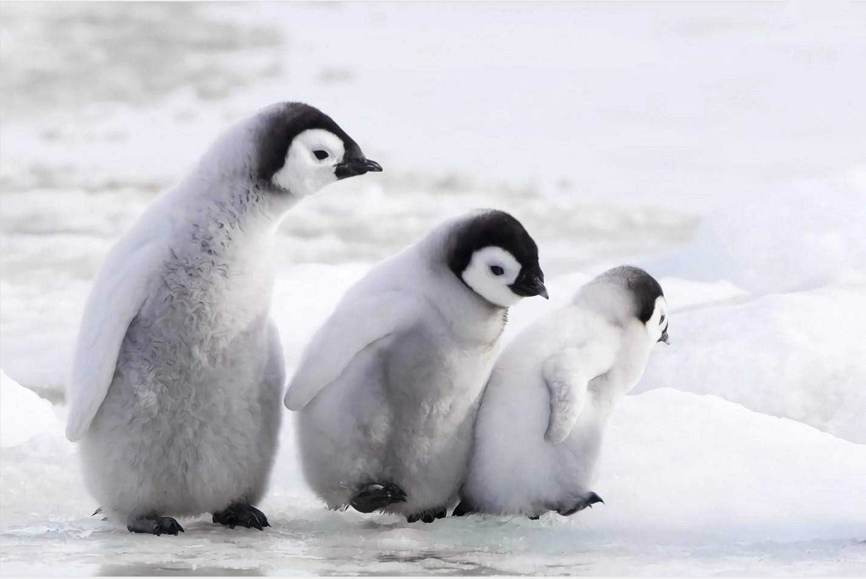 TUNIU Wooden Jigsaw Puzzle Cute Penguin -Three Little Penguins for ...