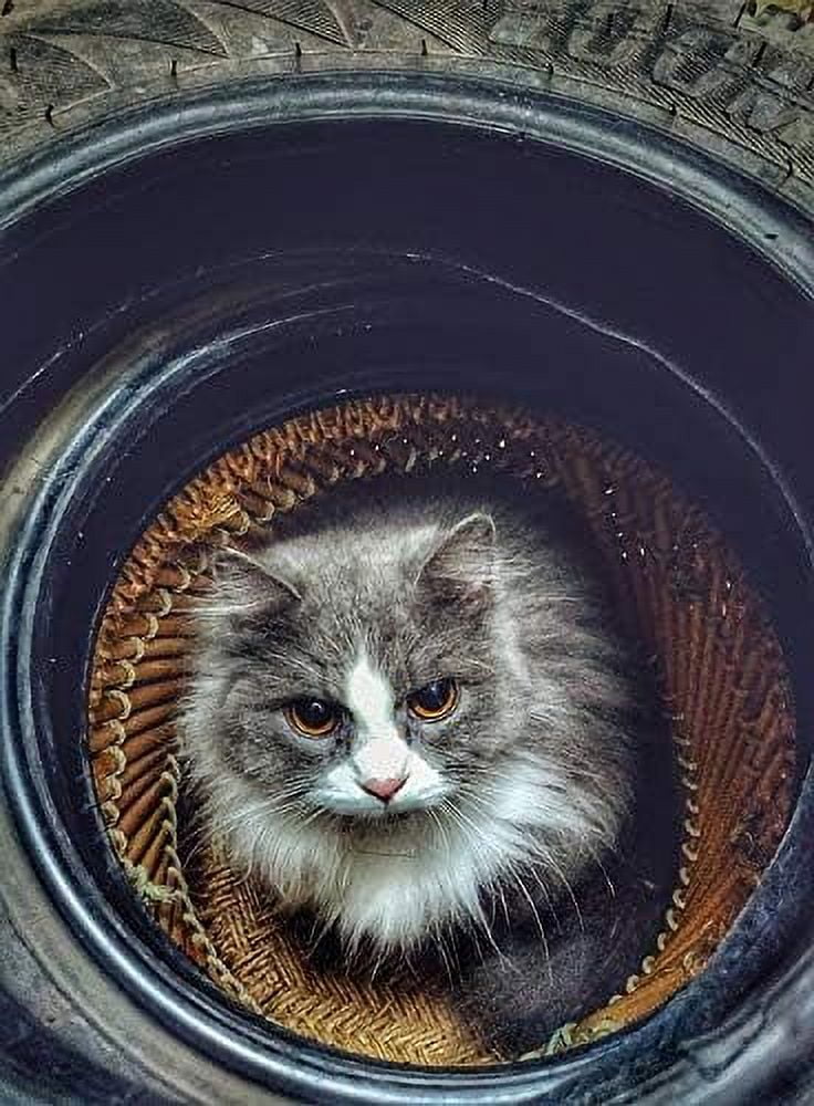 TUNIU Wooden Puzzle for Adults Jigsaw Puzzle Cute Kitty Gray and White ...