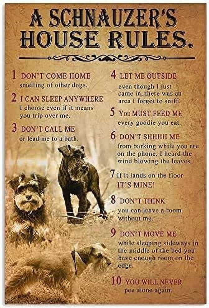 TUNIU Wooden Puzzle，Puzzle Toy Jigsaw Puzzles Schnauzer House Rules ...