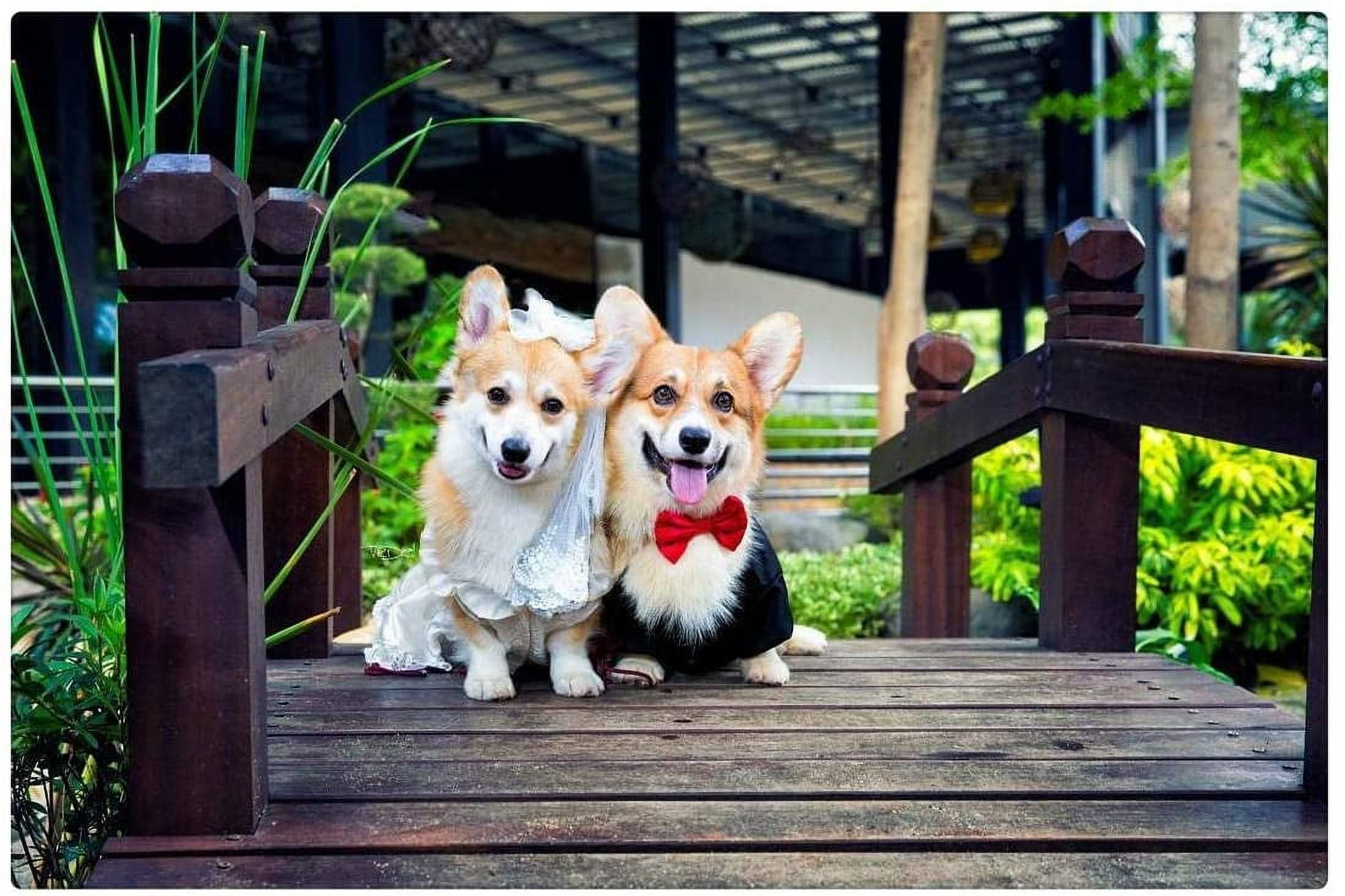 TUNIU Wooden Puzzle for Adults Jigsaw Puzzle Cute Corgi Dogs Puzzles ...