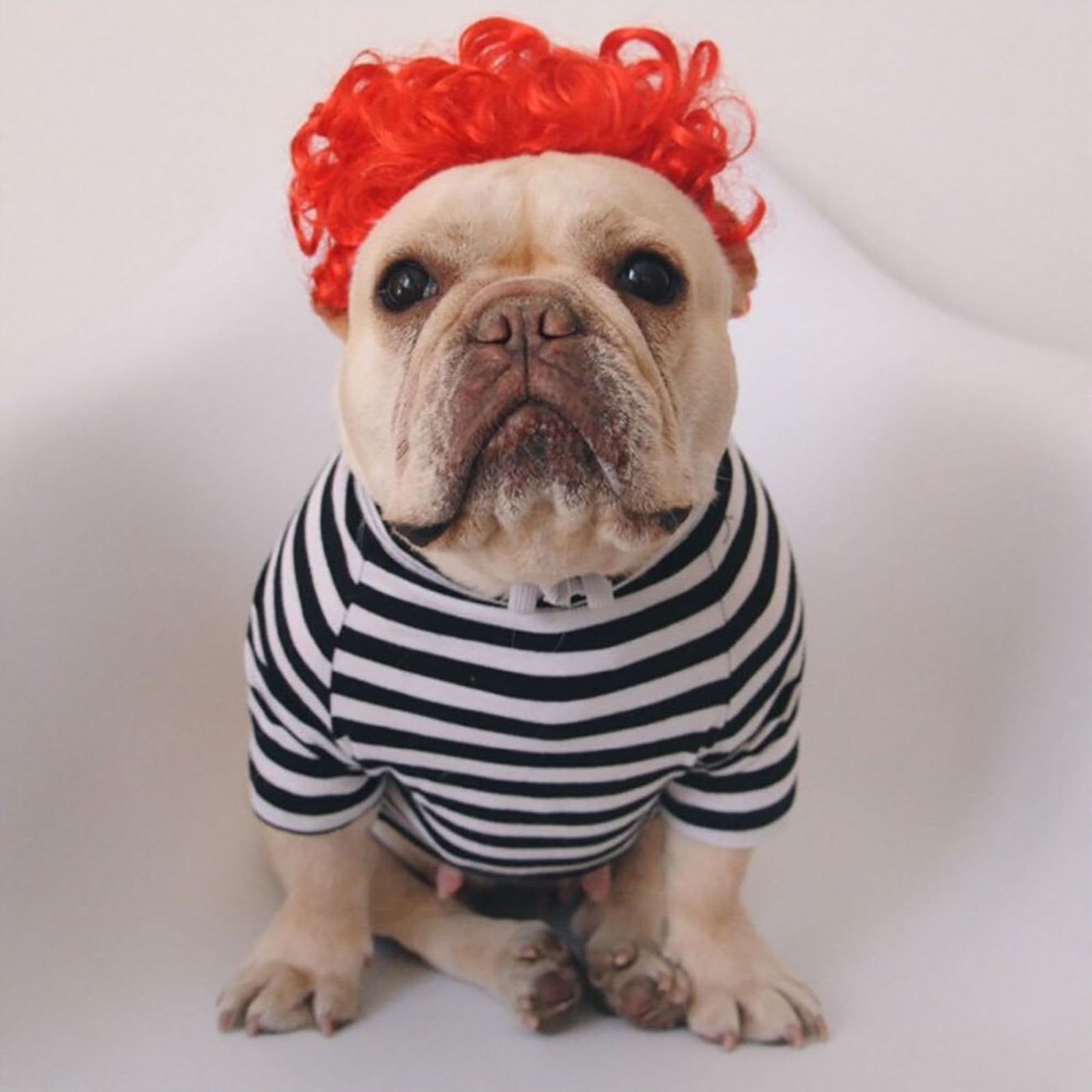 TUTUnaumb 2022 Winter Spot Promotion Dog Wigs Pet Costume Wig Colored ...