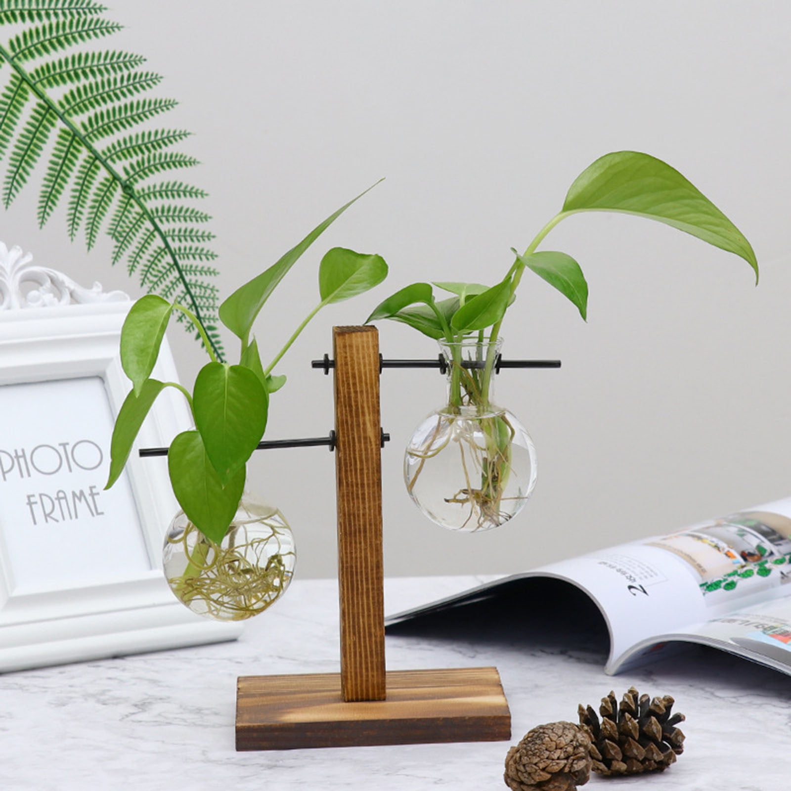 TUTUnaumb Desktop Glass Planter Bulb Vase Retro Solid Wooden Stand ...