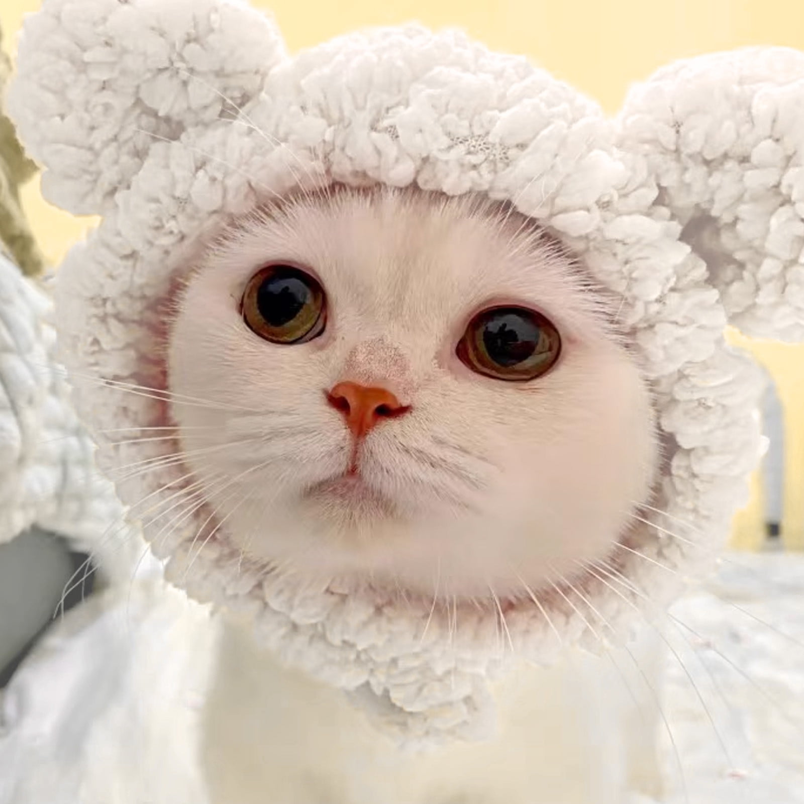 TUTUnaumb Pet Cats Dog Costume Hat Pets Headgear Cute Cubby Shape Cozy ...