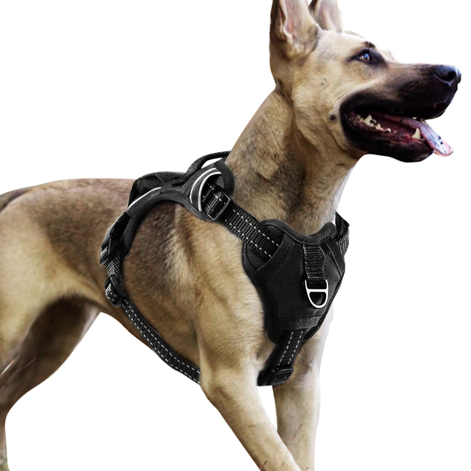 TUXTOOX No Pull Dog Harness Medium Sized Dog for Easy Walk, Training ...