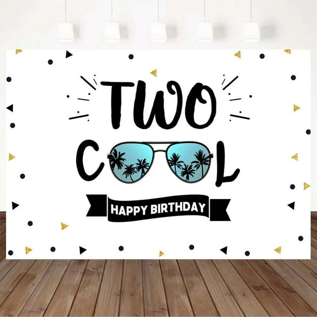 TWO COOL Baby 2nd Birthday Photography Backdrops Boys Birthday Party ...