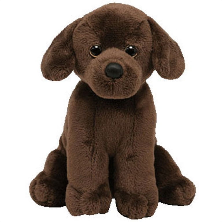 Baby Chocolate Lab