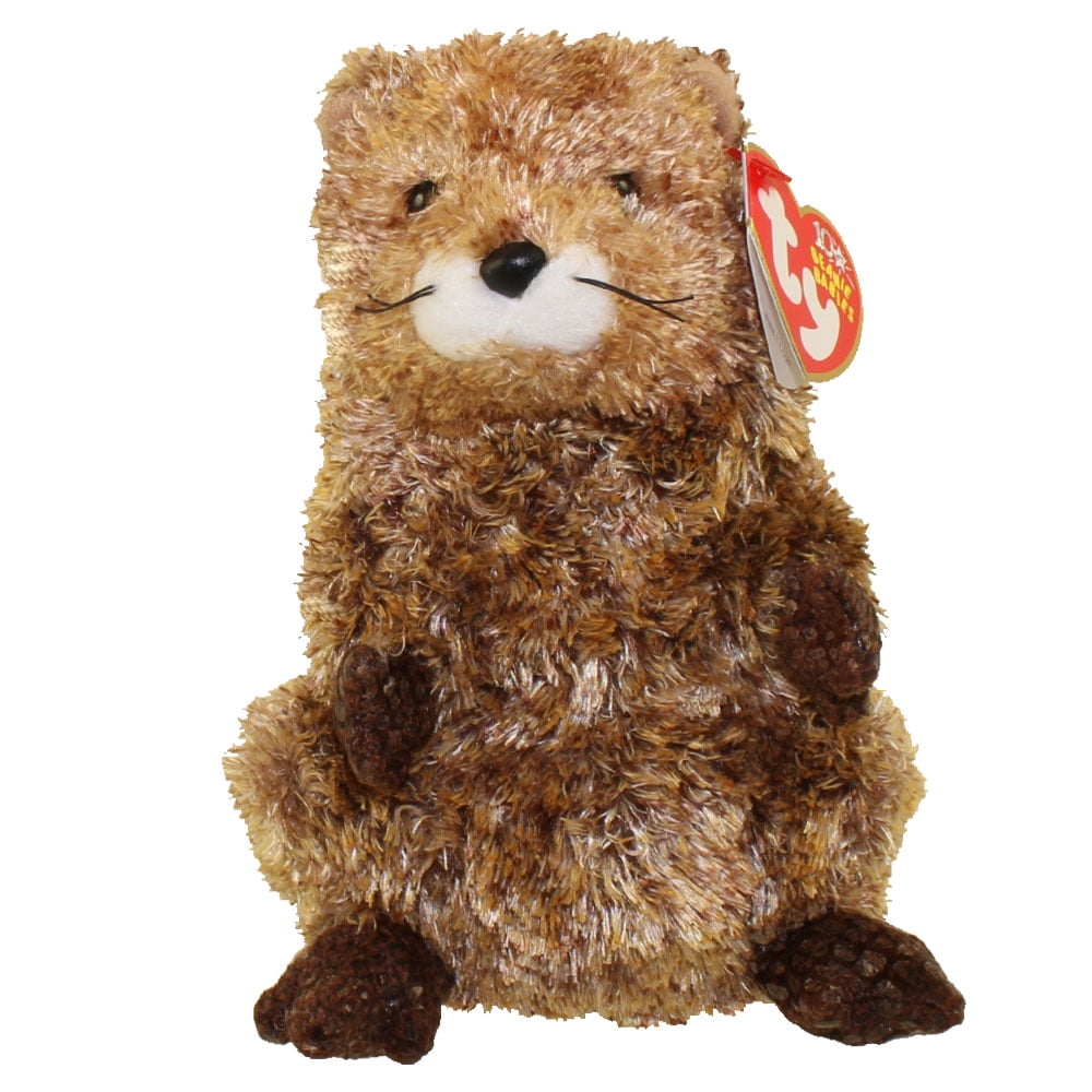 TY Beanie Baby - PUNXSUTAWN-E PHIL, 6 Inch Groundhog - Internet ...