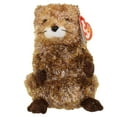 TY Beanie Baby - PUNXSUTAWN-E PHIL, 6 Inch Groundhog - Internet ...