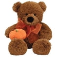 TY Classic Plush - CARVER the Bear - Walmart.com