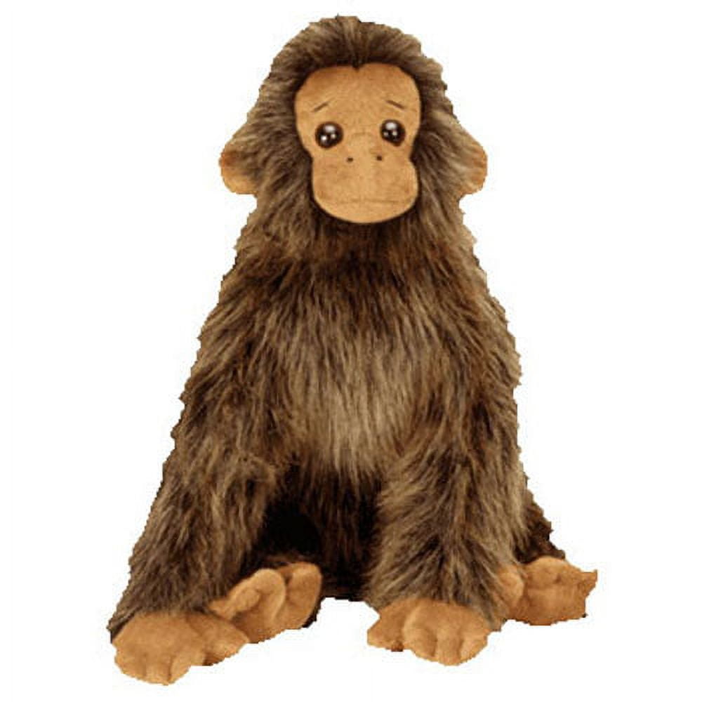 TY Classic Plush - JAKE the Monkey (13 inch) - Walmart.com