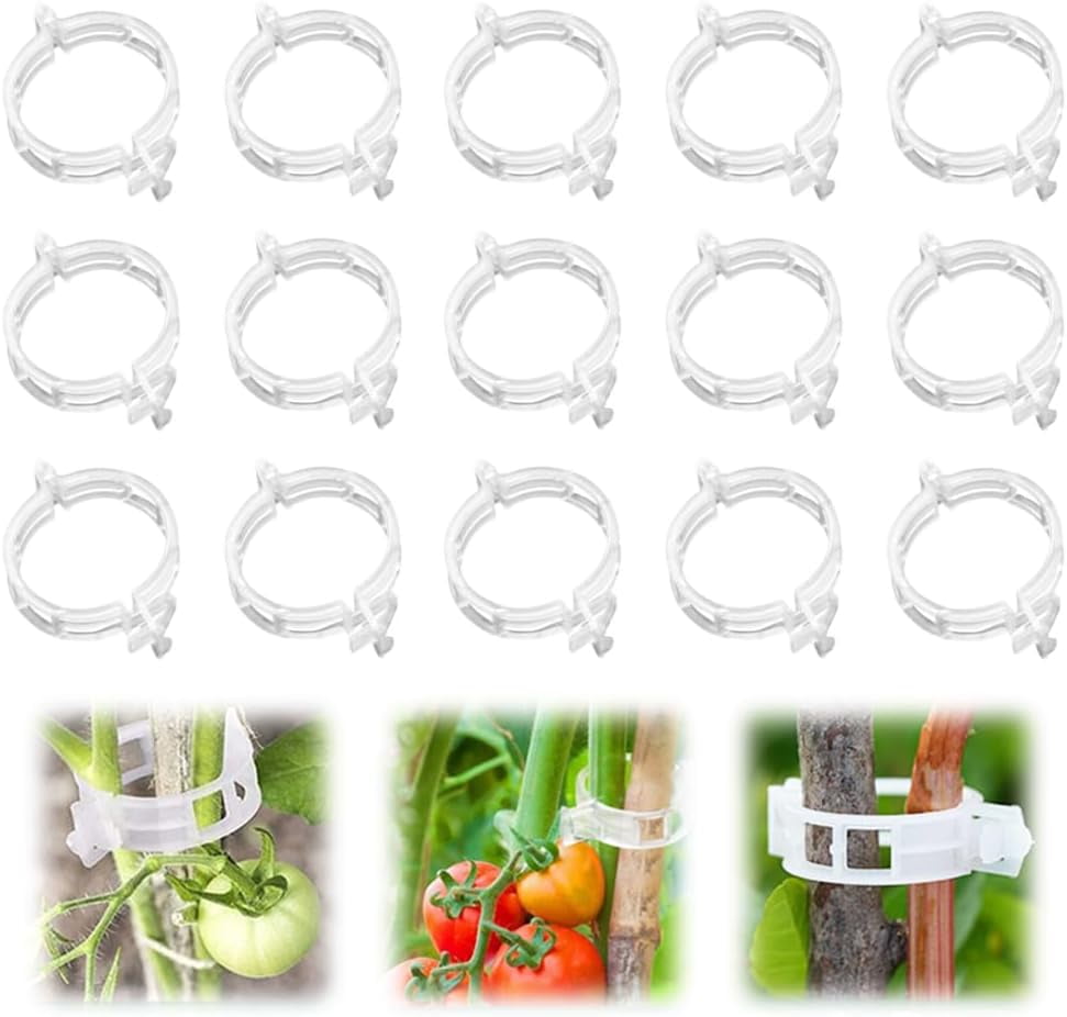 TYFLEI Secured Plastic Plant Clip, 2025 New Garden Plant Support Clips ...