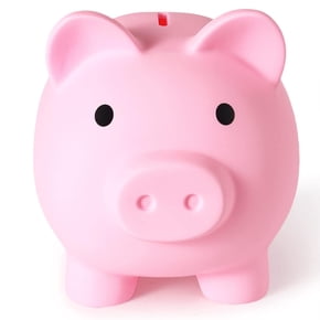 Huge Piggy Bank