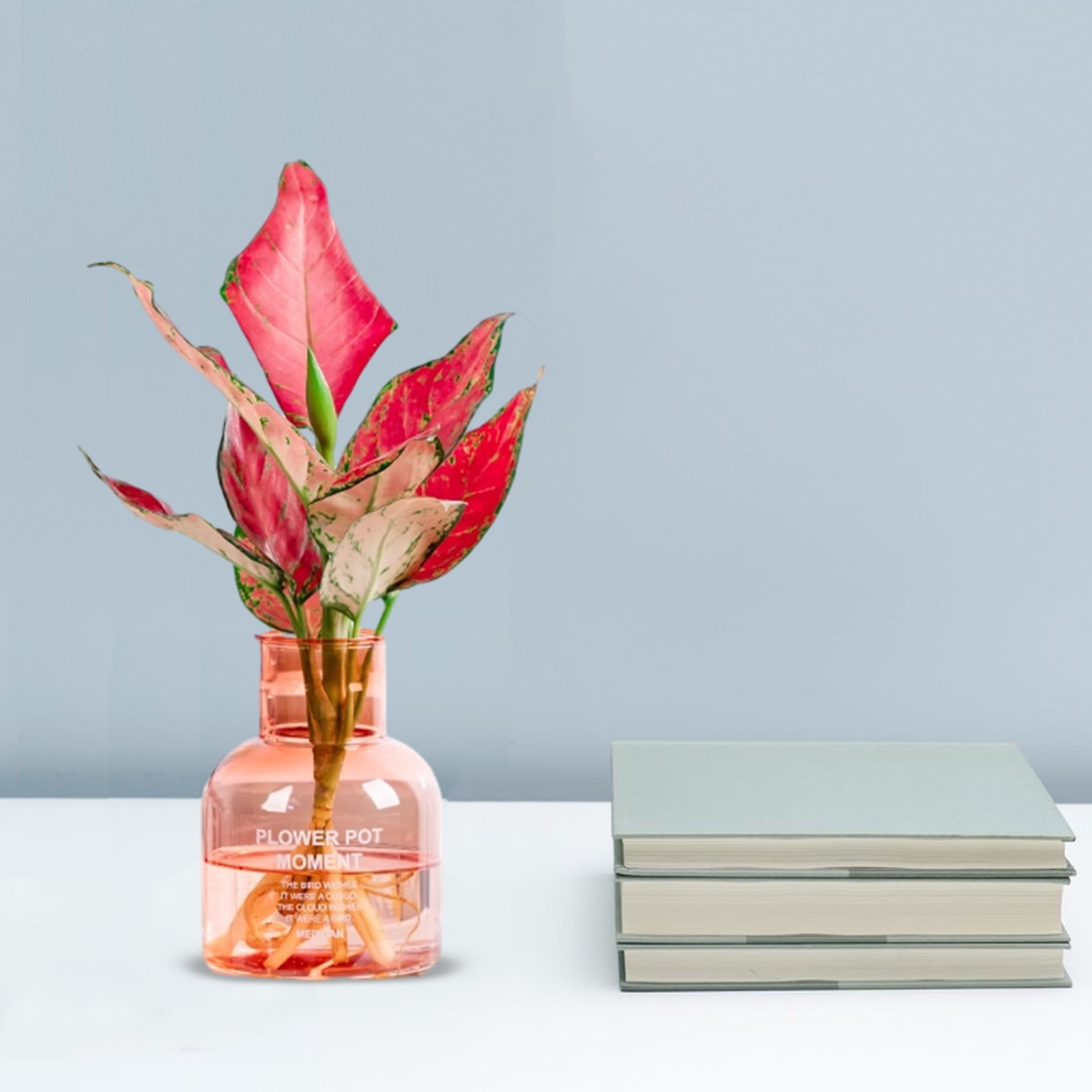TaTaai 3Pcs Living Clear Plastic Glass Balloon Vase, Transparent Vase ...