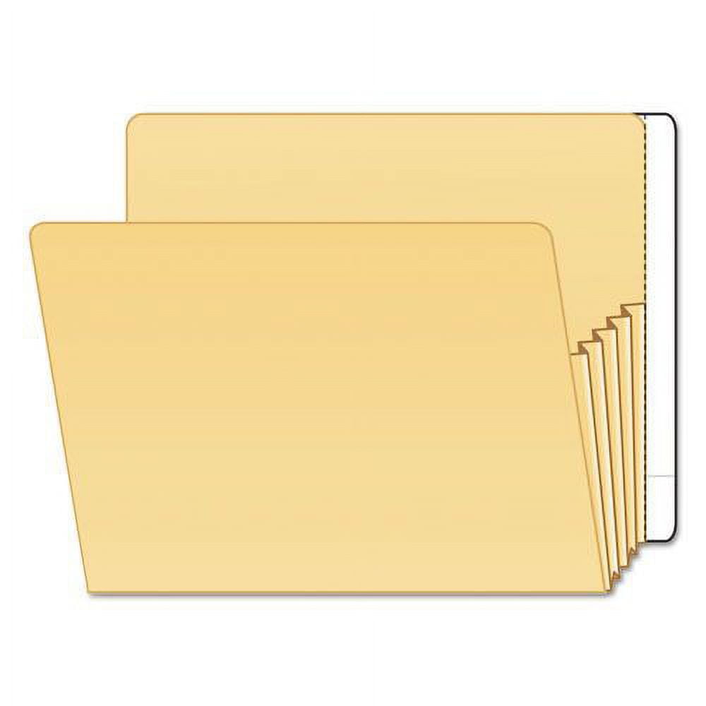 Tabbies 55993 3.75 in. x 9.5 in. File Folder End Tab Extender Strips ...