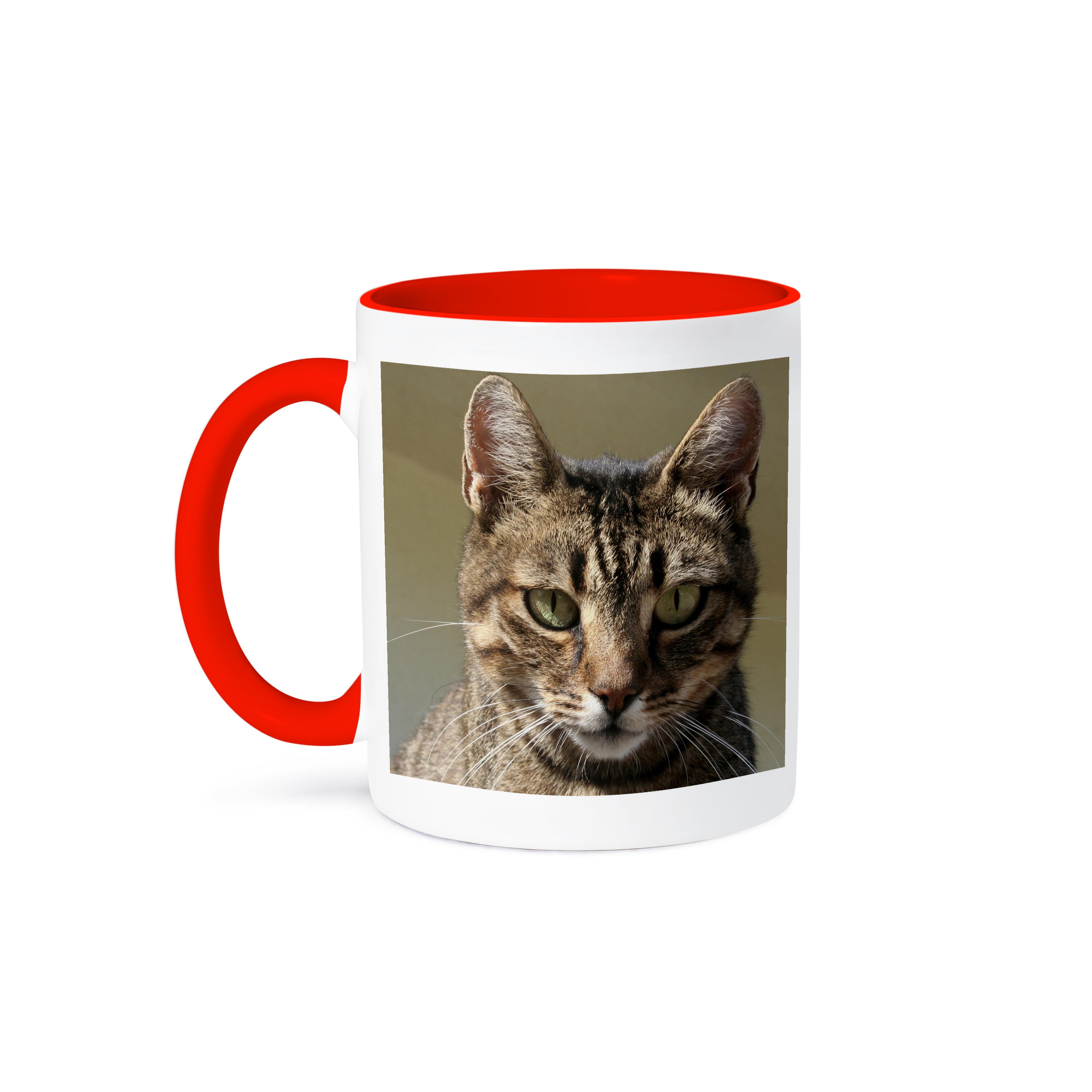 3dRose, Tabby Cat Portrait - animal, moggie, tabbies, tabby cat, cat ...