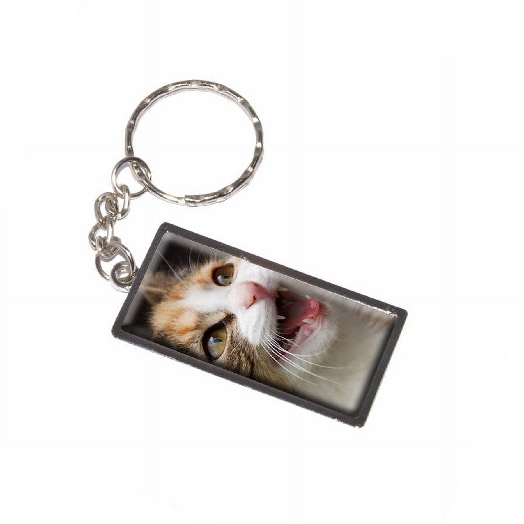 Tabby Kitten Cat Meow Keychain Key Chain Ring - Walmart.com