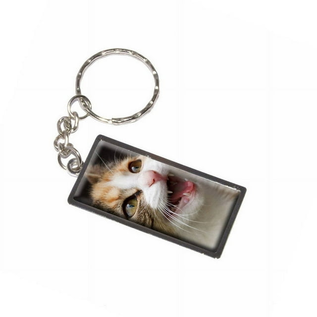 Tabby Kitten Cat Meow Keychain Key Chain Ring - Walmart.com
