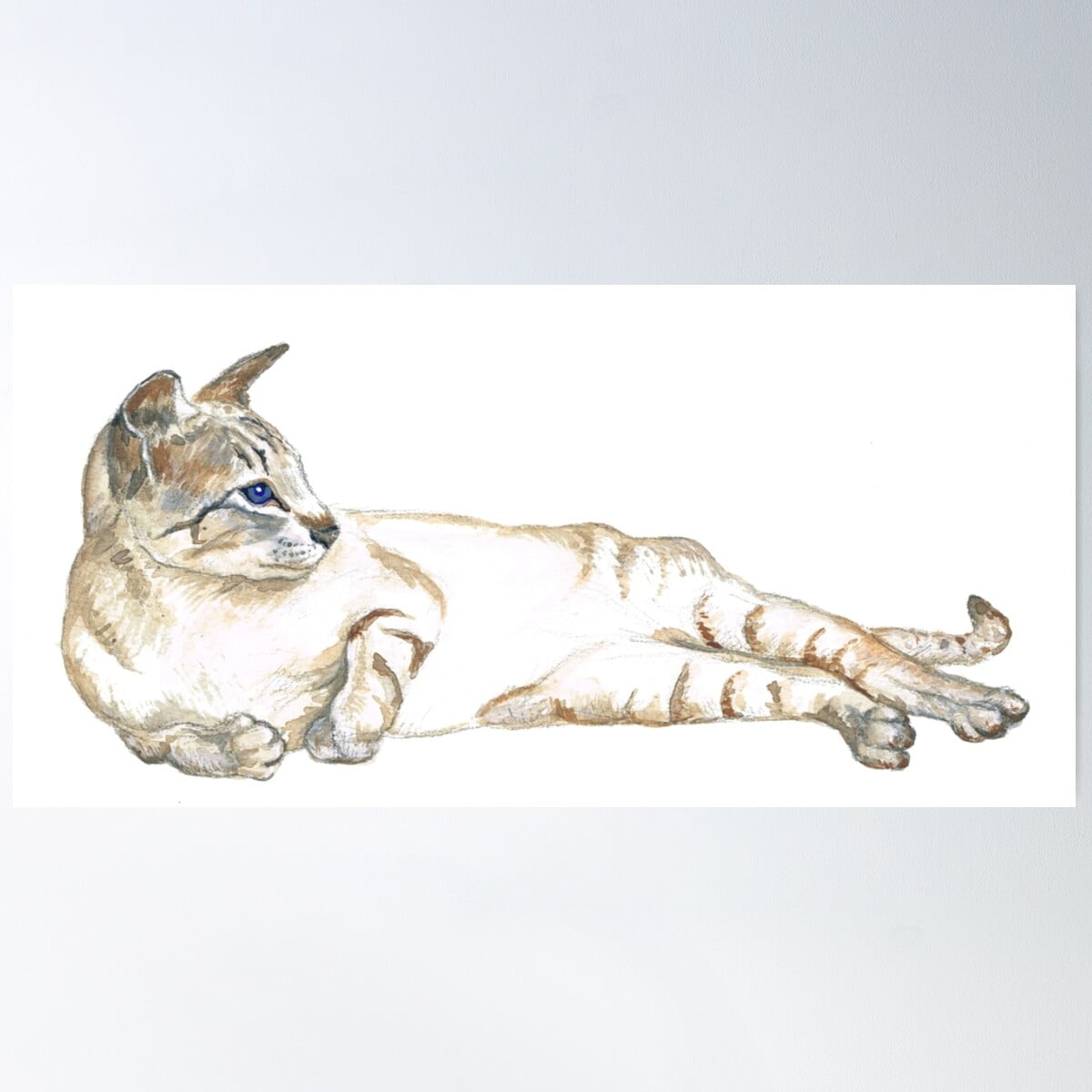 Tabby Point Siamese Cat Poster Wall Art, Modern Wall Decor For Living ...