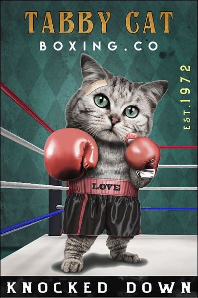 Tabby cat boxing co knocked down poster 16 x 24 Inch Poster - Walmart.com