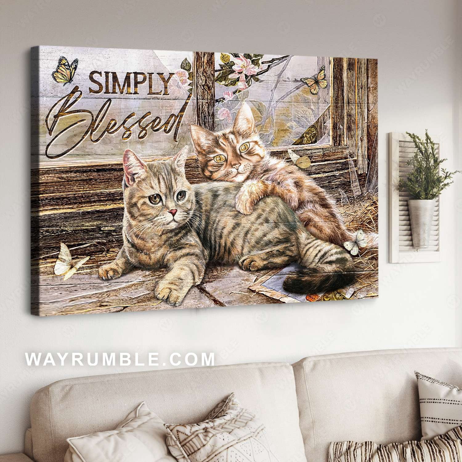 Tabby kittens, Wood door with glass, Beautiful butterfly, Simply ...