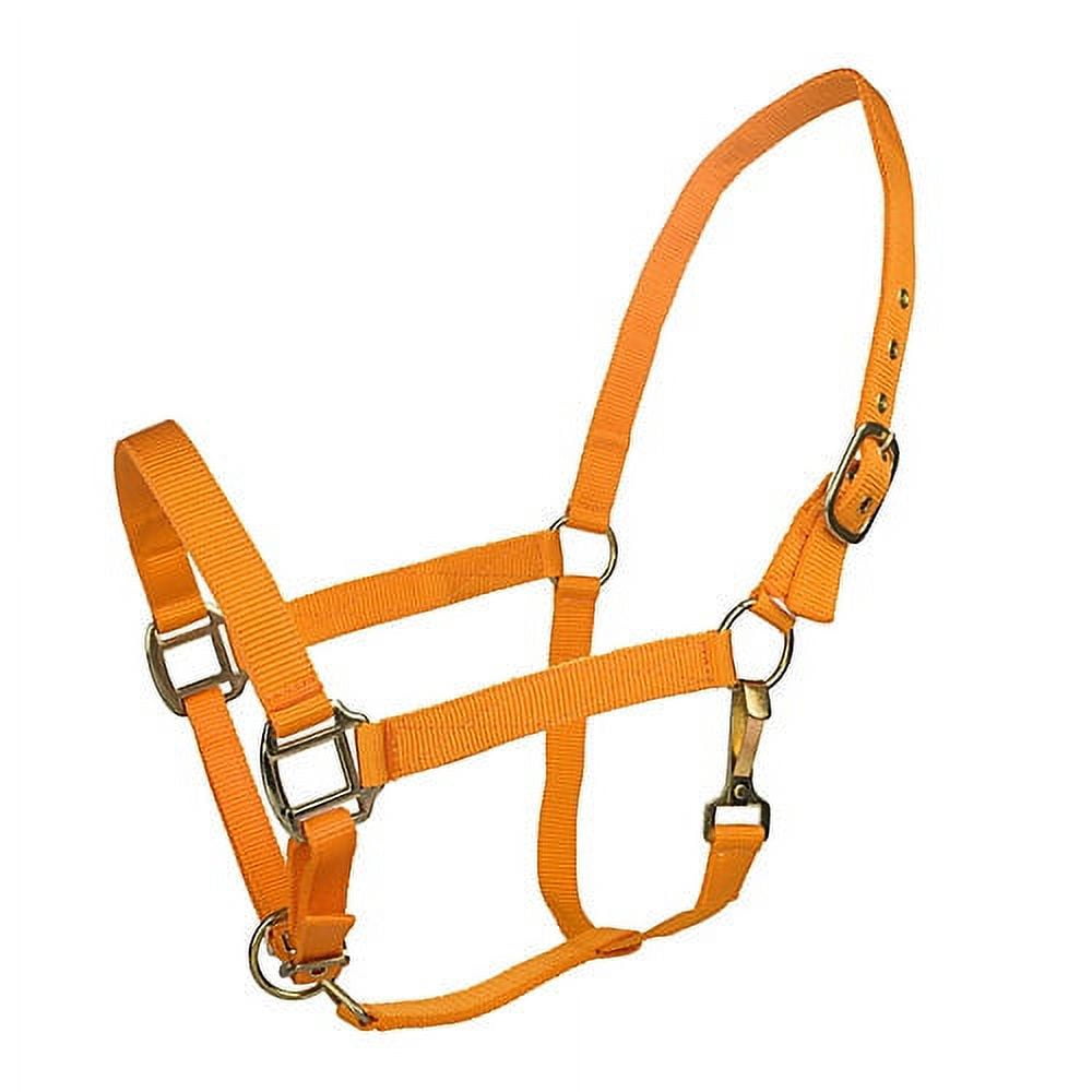 Tabelo Nylon Halter w/Adj Chin XL Horse Orange - Walmart.com