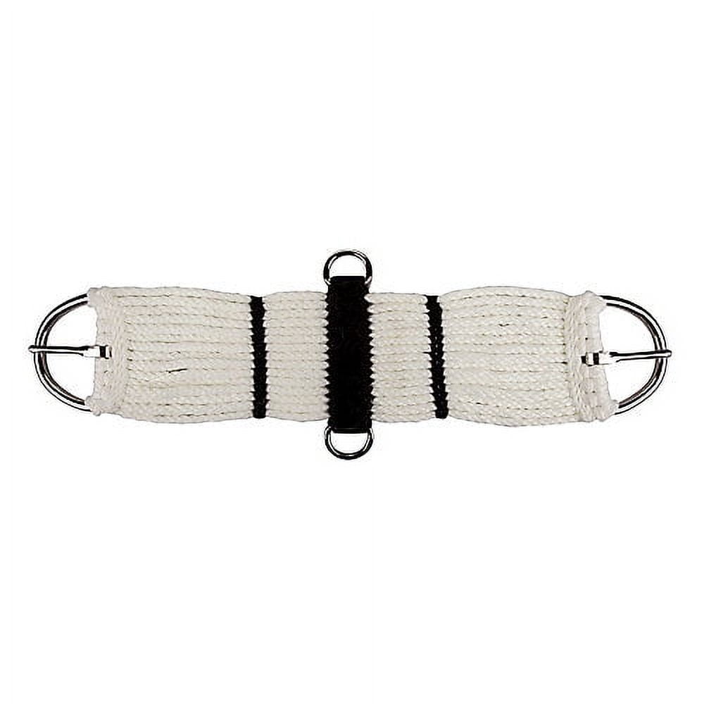Tabelo Pony Cinch 15 Strand SS Buckles 24in - Walmart.com