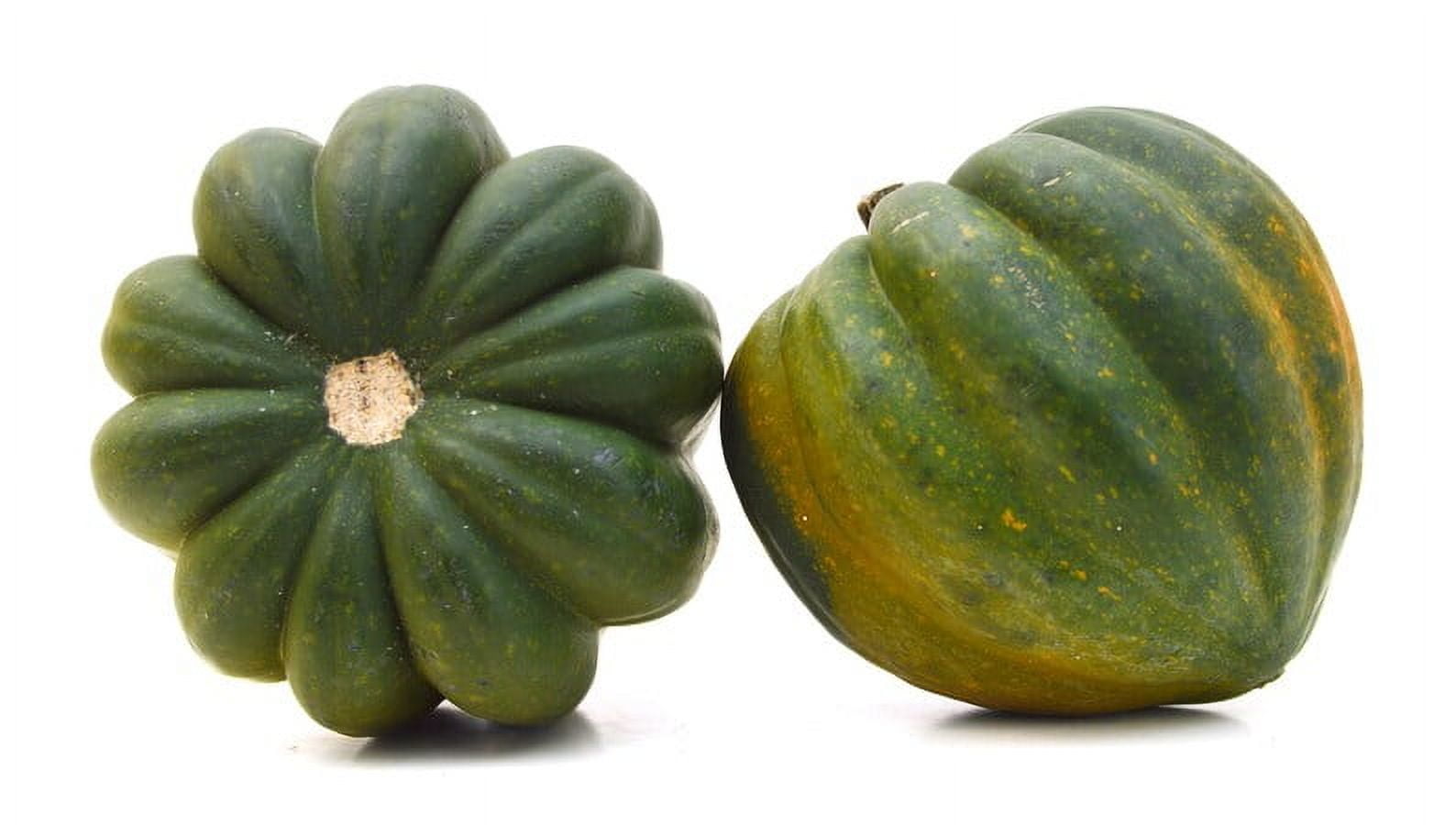 Sherwood's Seeds, Table Queen Acorn Winter Squash, Medium Heirloom ...