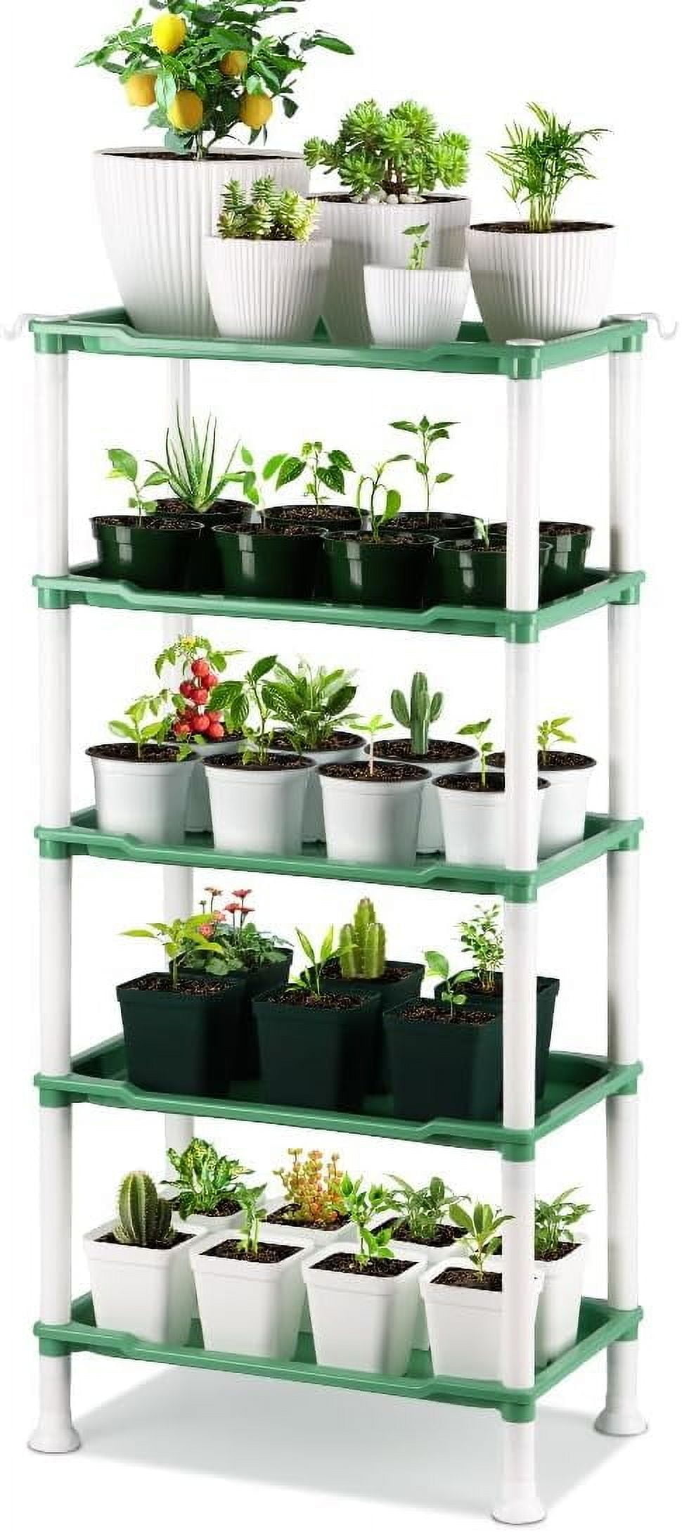 Tabletop 5-Tier Seed Stand with 5 Trays, Seed Starting Rack Propagation ...