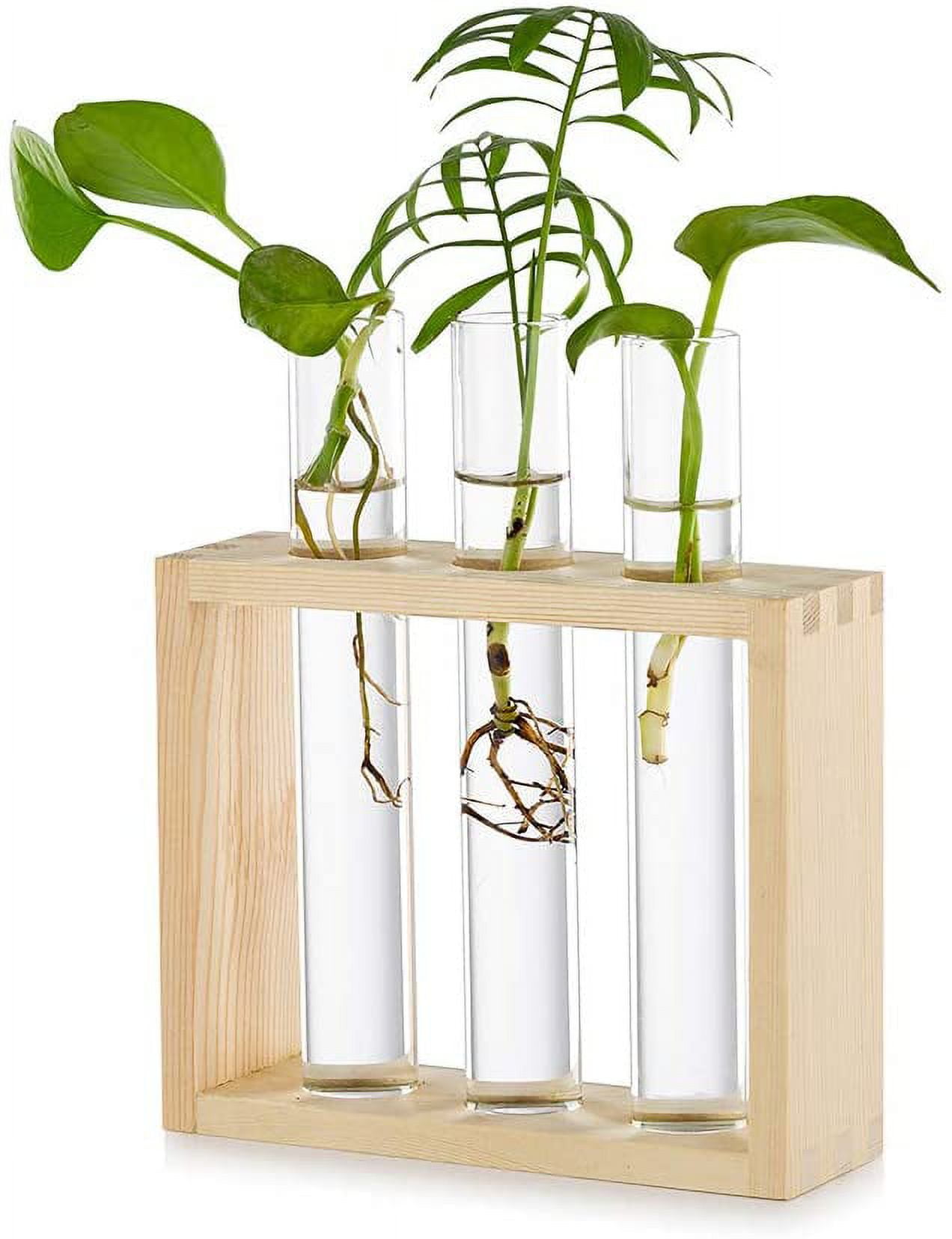 Tabletop Hanging Glass Planter Propagation Station Modern 3 Test Tube ...