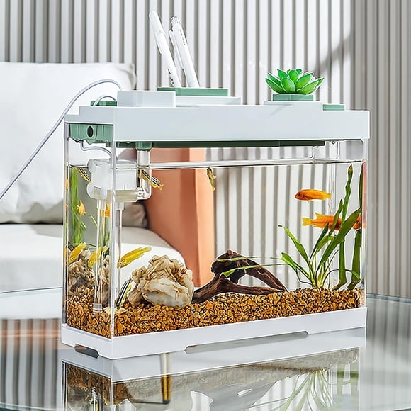 2 5 Gallon Fish Tank