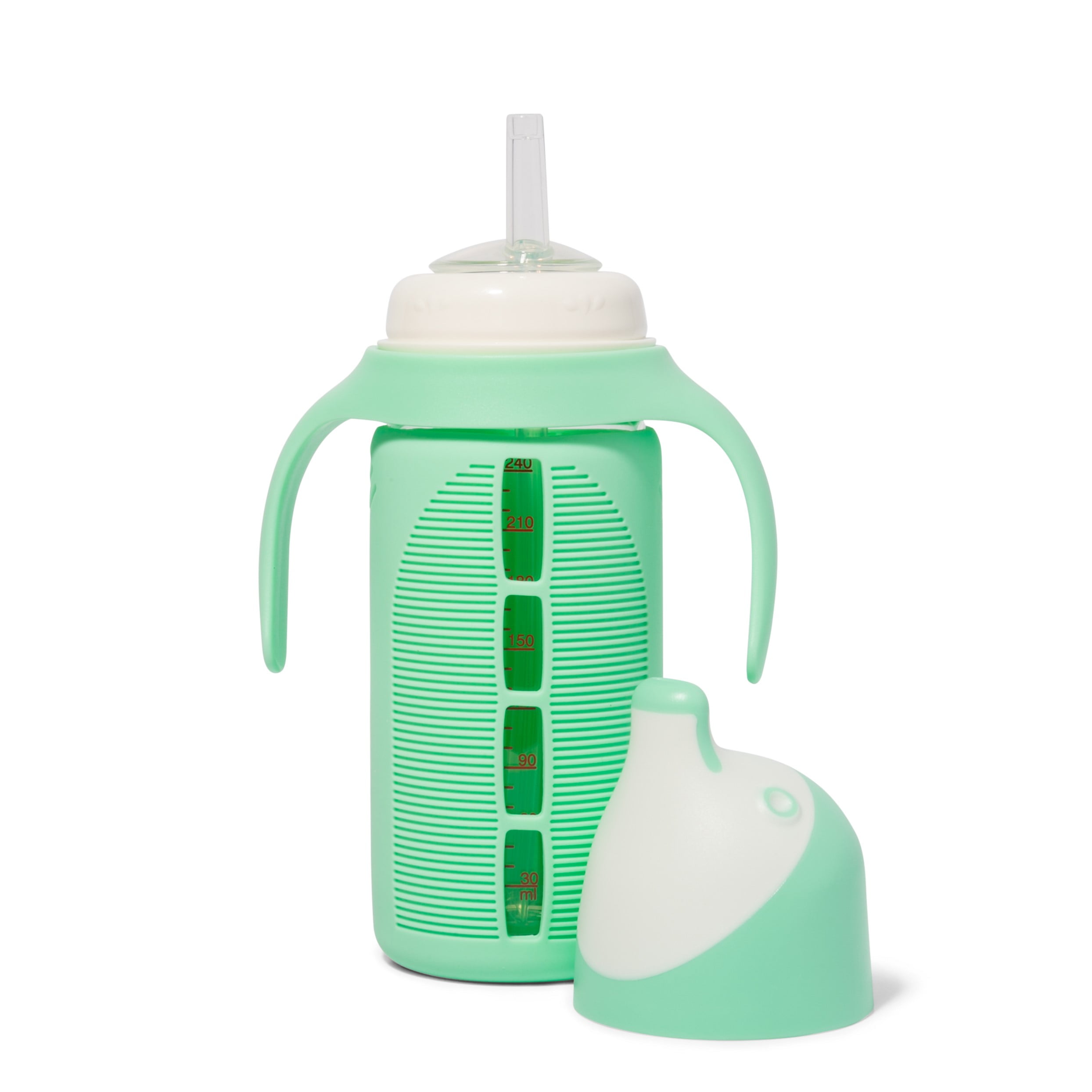 Tabor Place Luca Glass Sippy Cup, 8 oz, Mint Green, Spill-Proof ...