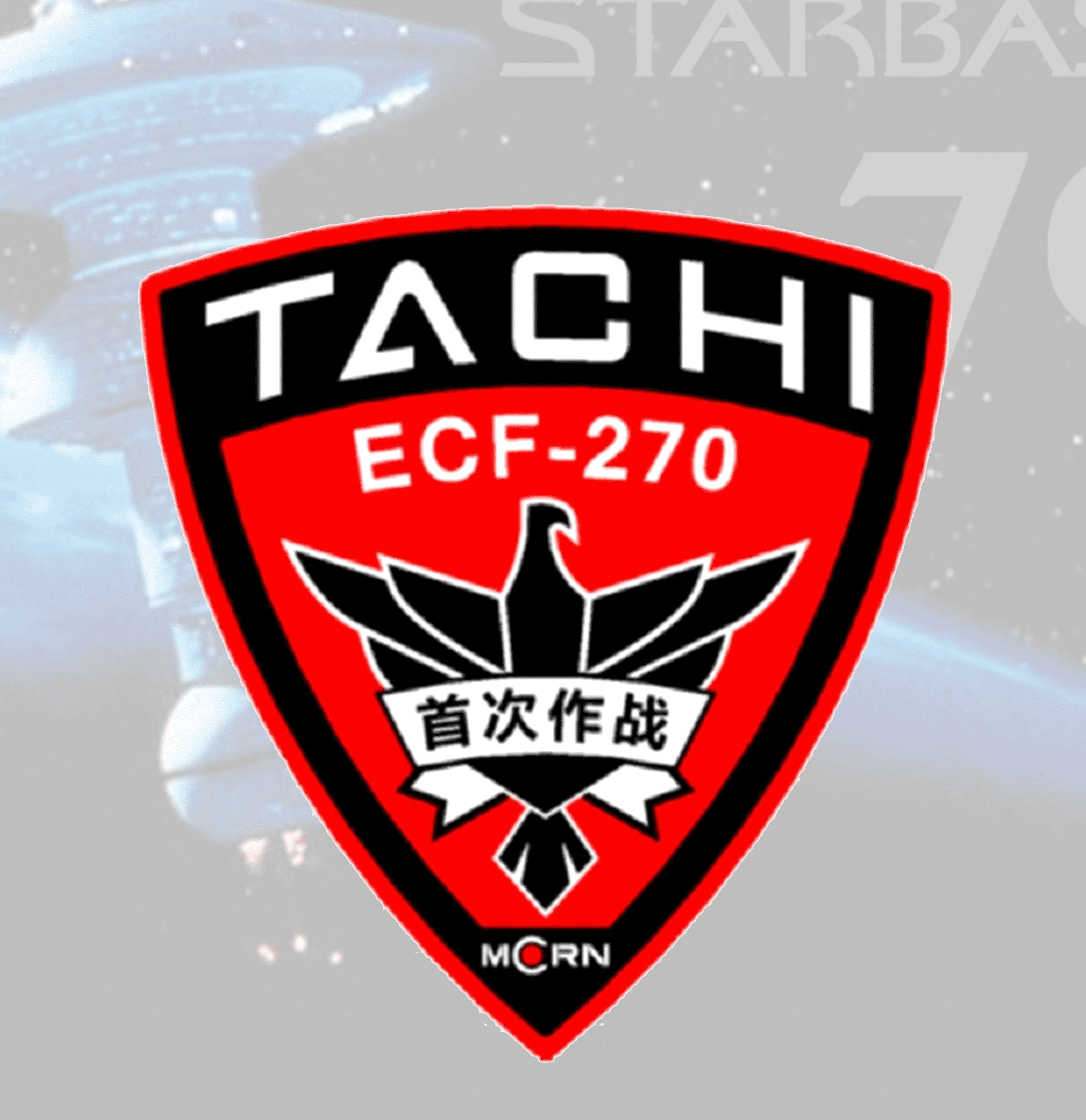 Tachi MCRN ECF-270 Parking Decal - Expanse - Walmart.com