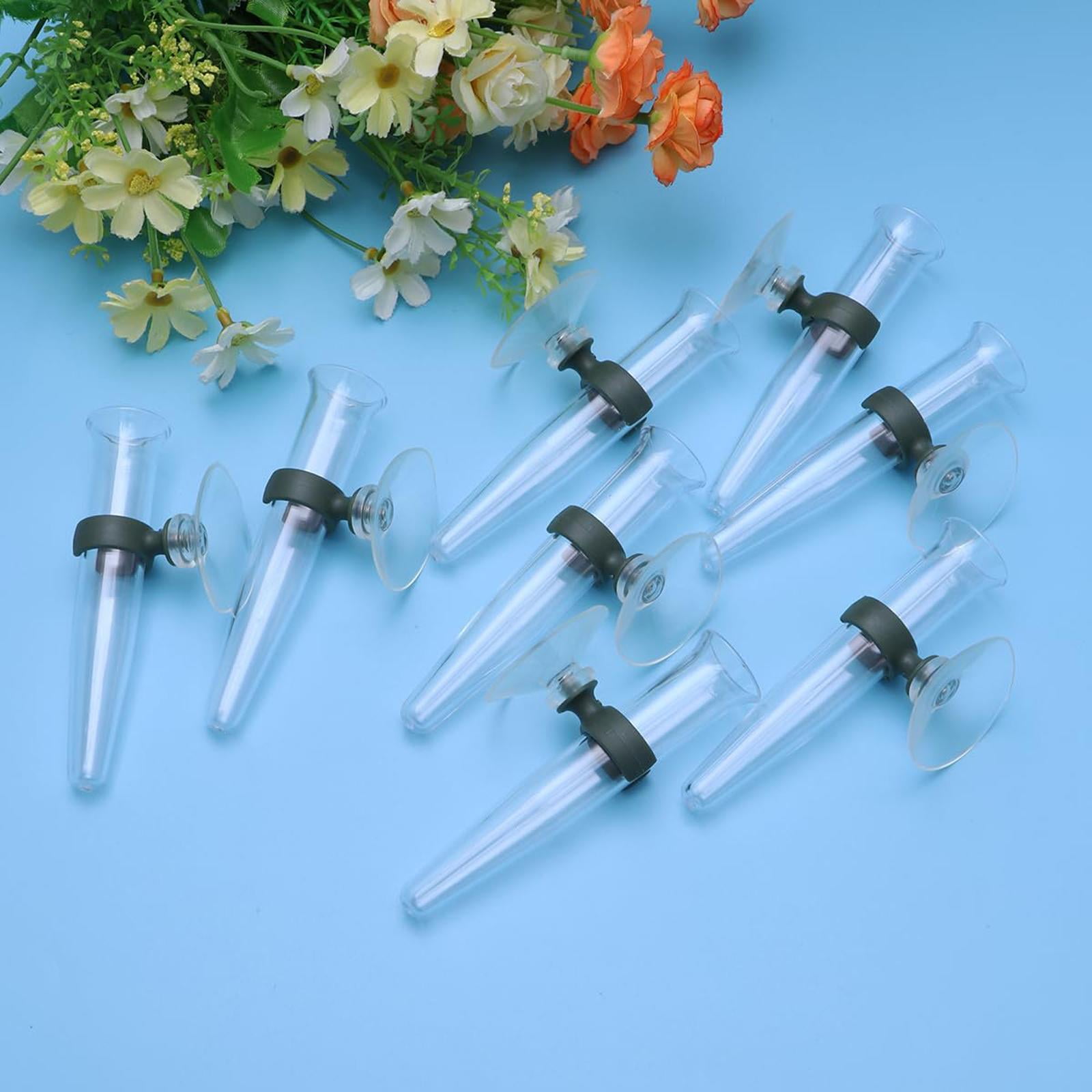 Tachiuwa 8Pcs Floral Vials Multiple Flowers Plant Flower Water Tubes ...