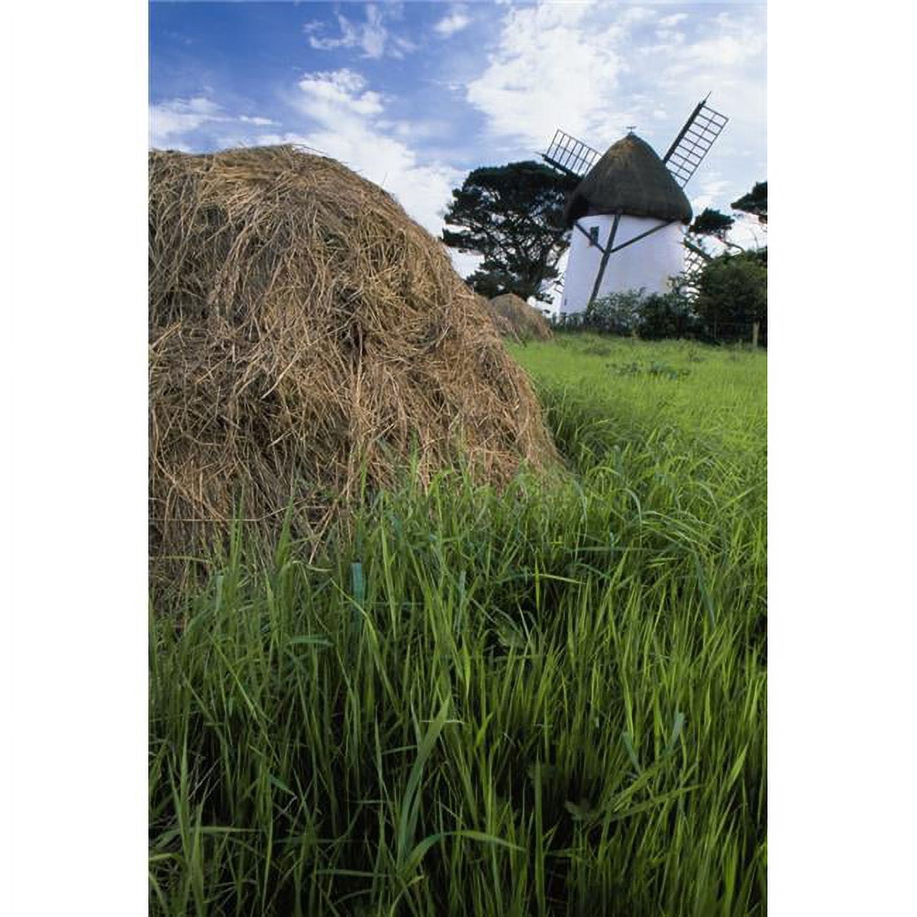 Tacumshane Windmill County Wexford Ireland - Windmill & Haystack Poster ...