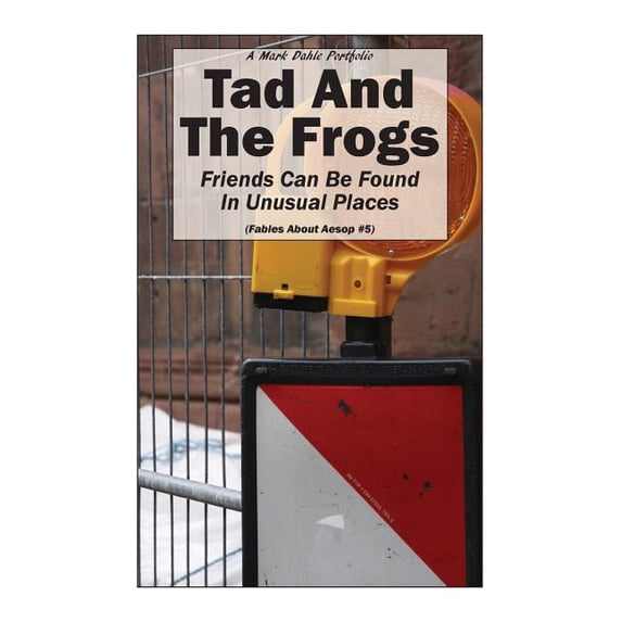 Tad And The Frogs: Friends Can Be Found In Unusual Places (Fables About ...