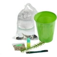 Tadpole to Frog Starter Kit - Includes Certificate for 2 Live Tadpoles ...
