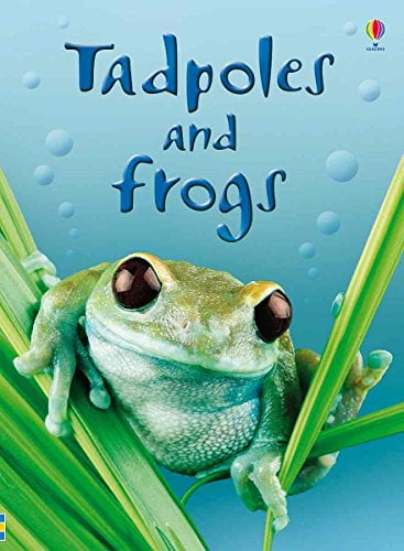 Pre-Owned Tadpoles and Frogs Beginners Nature, Level 1 Hardcover Anna ...