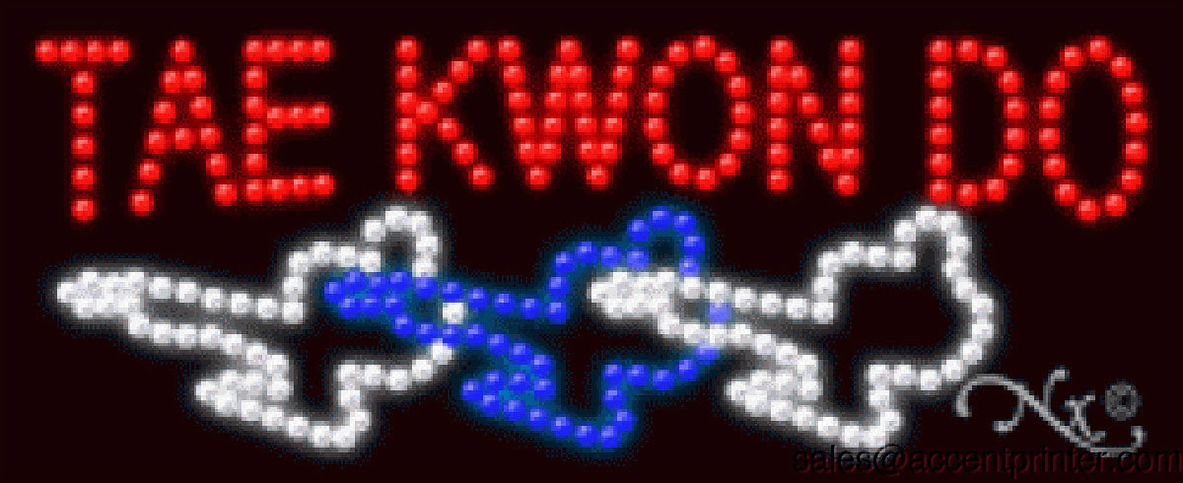 Tae Kwon Do Indoor Flashing & Animated High Impact Energy Efficient LED ...