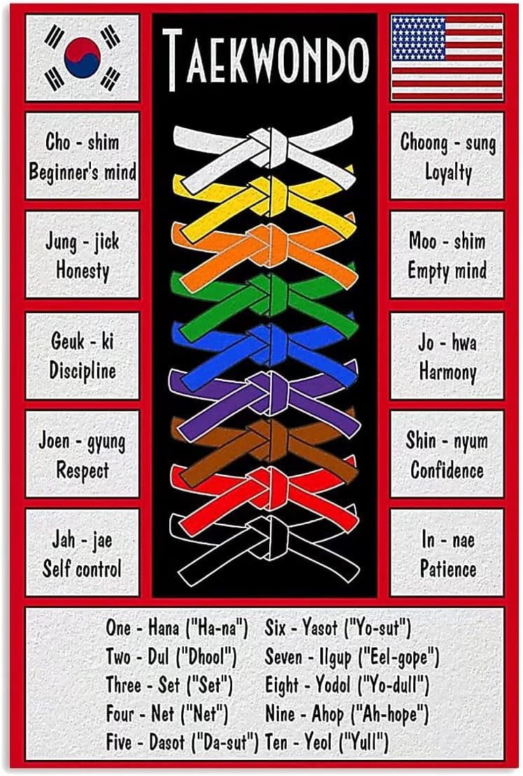 Taekwondo Knowledge Metal Sign Martial Arts Hall Infographic Decor Taekwondo Grade Posters Club ...