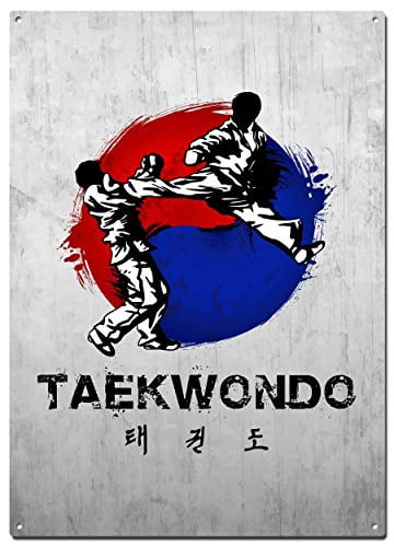 Taekwondo Metal Aluminum Signs, Martial Arts Colorfast Posters ...