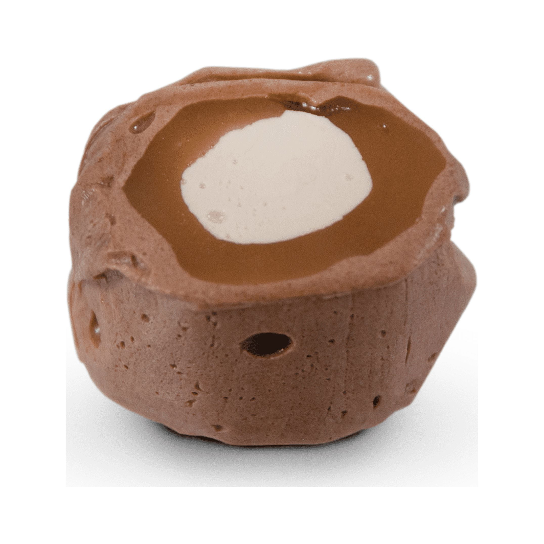 Taffy Shop Peanut Caramel Chocolate Salt Water Super Soft Taffy ...