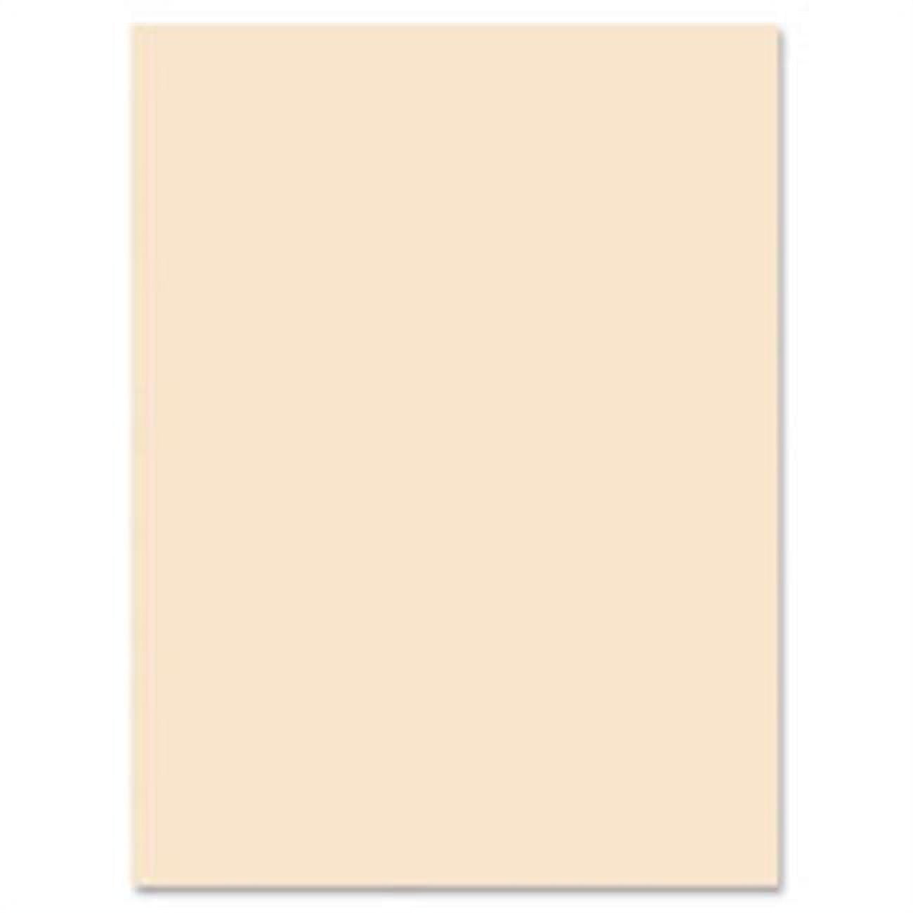 Tagboard, 9 in. x 12 in., 100Shts, 12-PK, Manila - Walmart.com