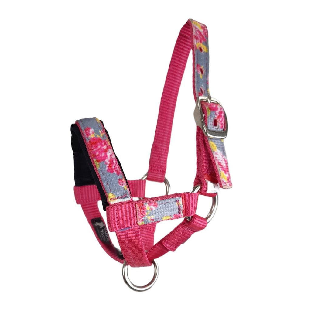 Tahoe Tack Nylon Overlay Alpaca Halter with Padded Noseband and 6 Month ...