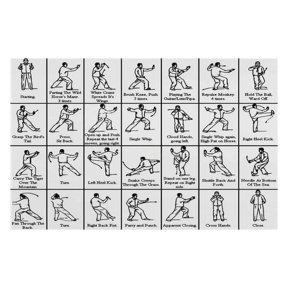 Tai Chi 24 Step Practice Poster Martial Arts Meditation Chart for ...